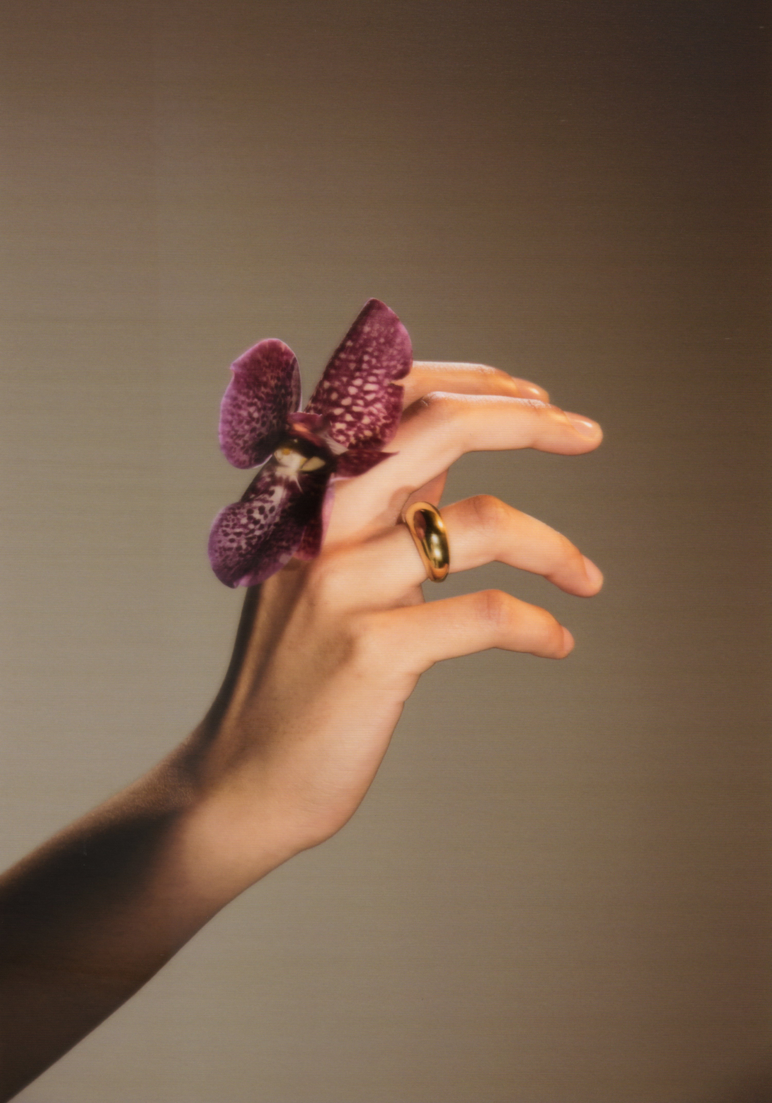 Oli Ring – DAPHINE