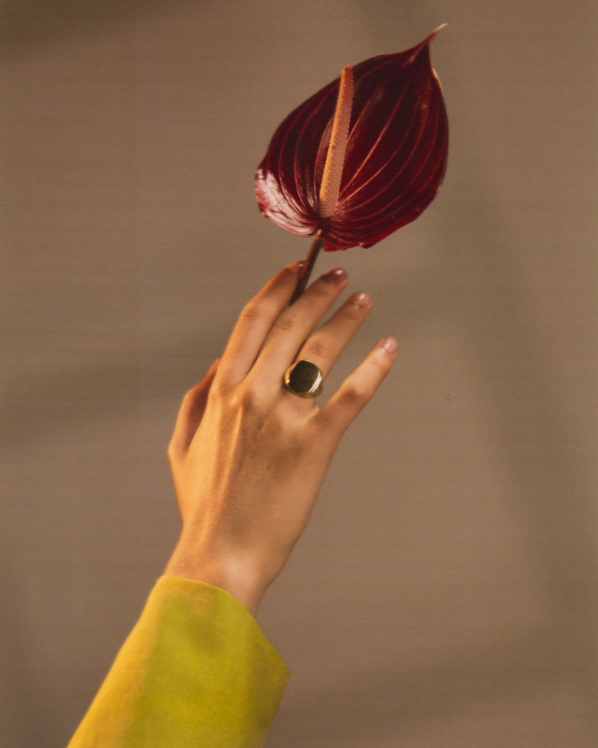 Eddie Ring – DAPHINE